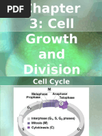 Mitosis Mover Webquest Bioman PDF | PDF | Mitosis | Chromosome