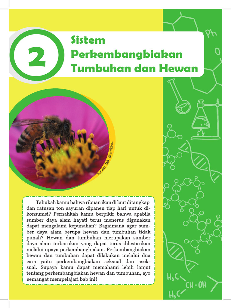 Materi 5 Sistem Perkembangbiakan Pada Tumbuhan | PDF