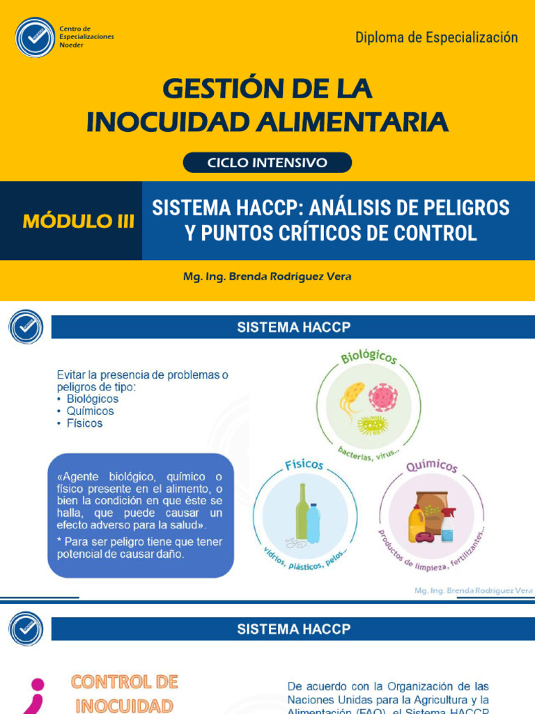 Degial Vev I2025ii Clase 03 Presentacion | PDF