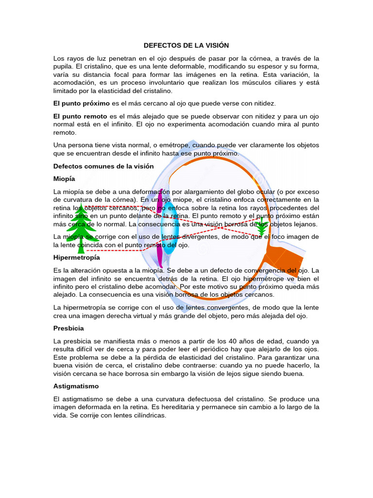 Defectos de La Visión | PDF | Ojo humano | Miopía
