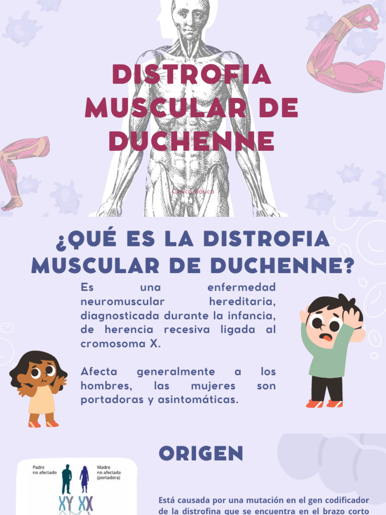 Fisiopatología de la Distrofia Muscular de Duchenne | PDF | Sistema ...