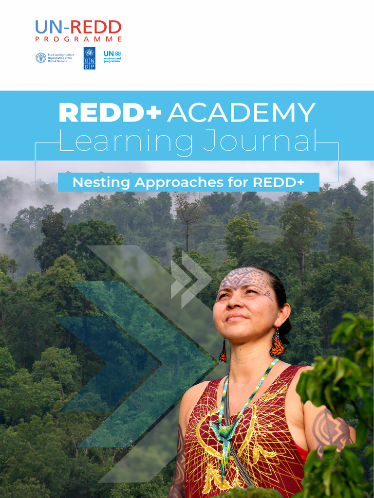 REDD+ Academy Journal 01 Rev07 | PDF | United Nations Framework ...