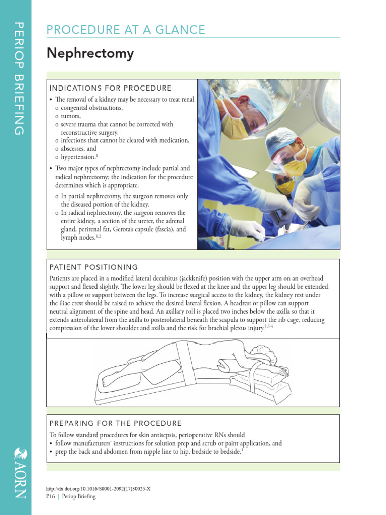 AORN Journal - 2017 - Nephrectomy | PDF | Kidney | Clinical Medicine
