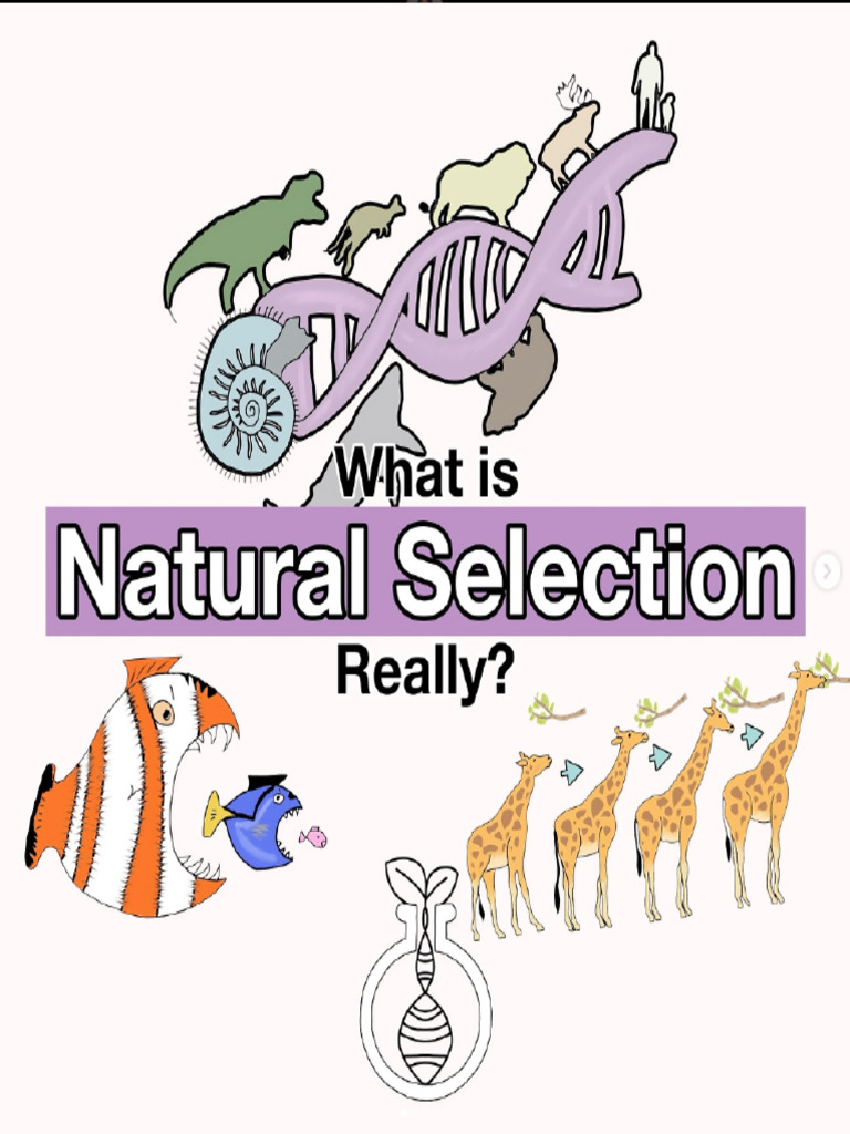 Natural Selection | PDF
