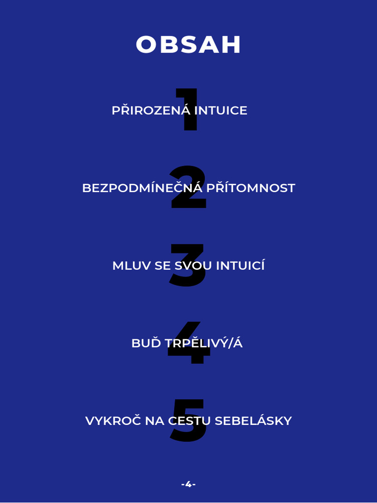 E Kniha Intuice 4 | PDF