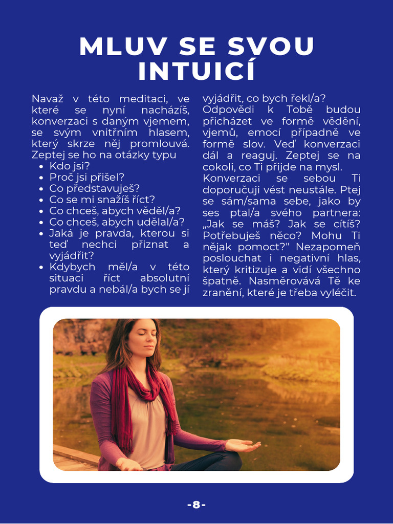 E Kniha Intuice 8 | PDF