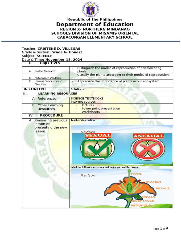 COT 3 LESSON Plan Science Modes of Reproduction in Plants | PDF ...