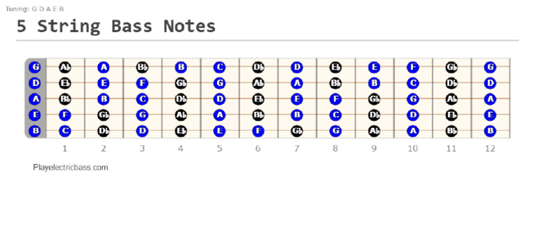 5 String Bass Notes Made at | PDF