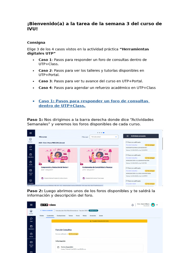 IVU Actividad3 IvoneBendezu | PDF