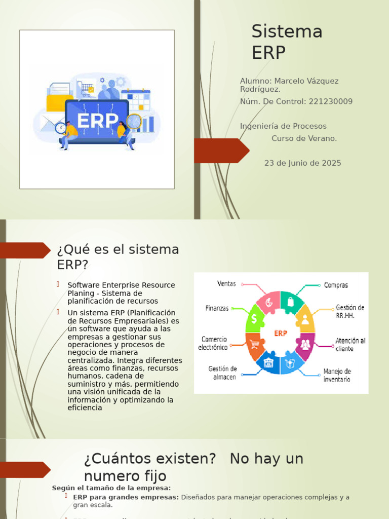 Guía Completa sobre Sistemas ERP | PDF | Planificación de recursos ...