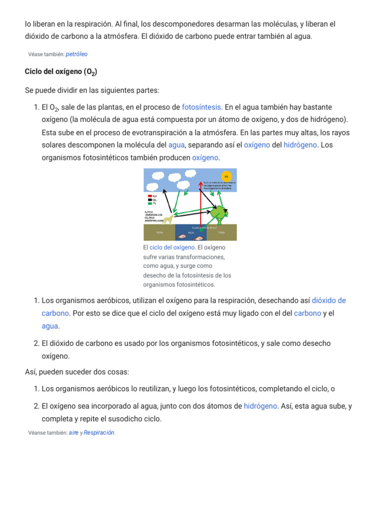 Flujo de Energía y Nutrientes en Los Ecosistemas - Wikipedia, La ...