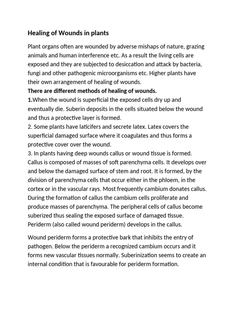 Wound Healing Mechanisms in Plants | PDF | Branches Of Botany | Plants
