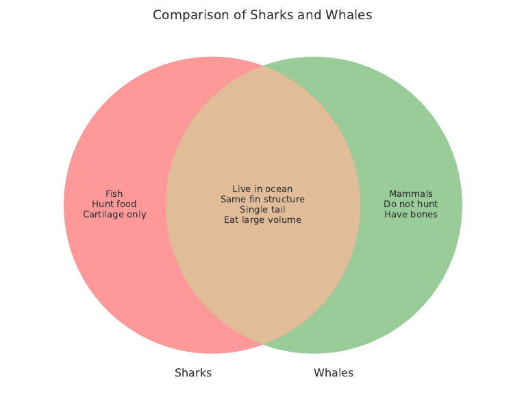 Sharks vs. Whales: Key Differences | PDF