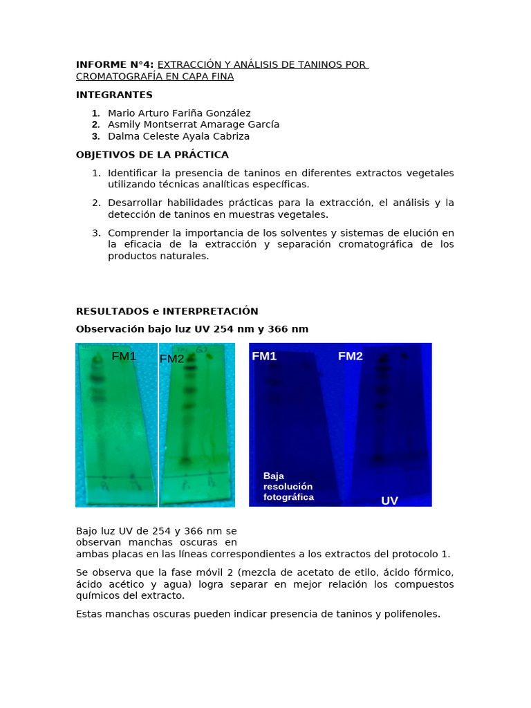 Informe de Fitoquímica P4 | PDF | Cromatografía | Química analítica