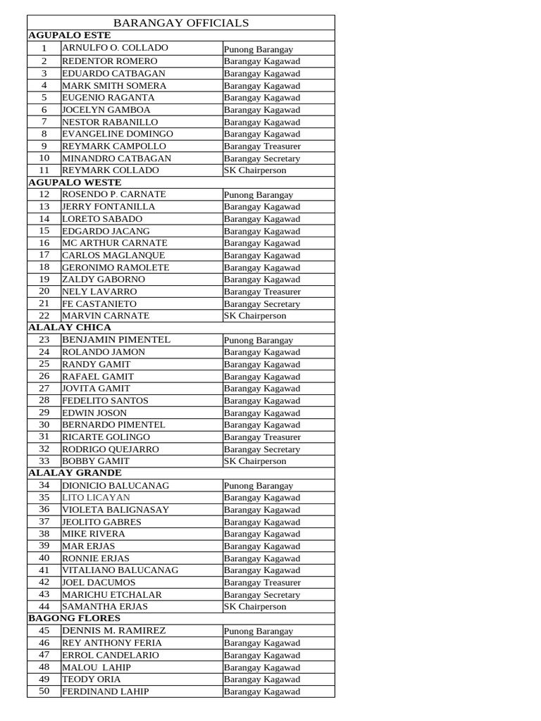 11 Barangay Officials | PDF