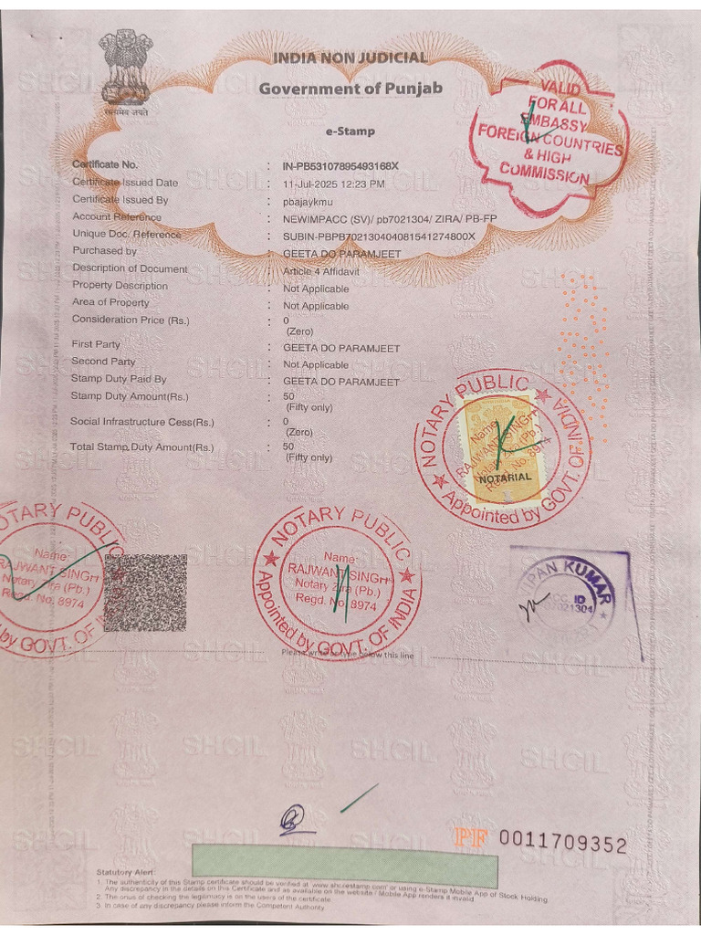 ACE Scanner - 2025 - 07 - 11 | PDF