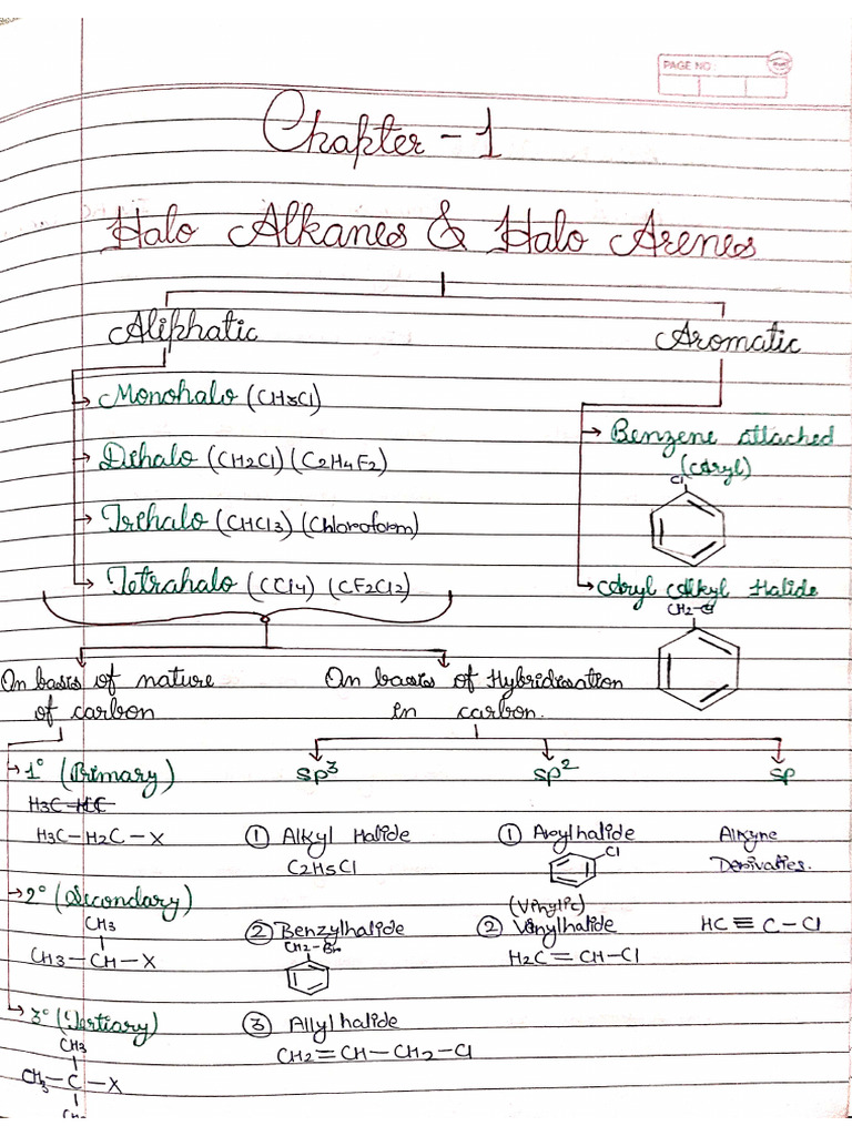 Halo Alkanes & Halo Arenes | PDF