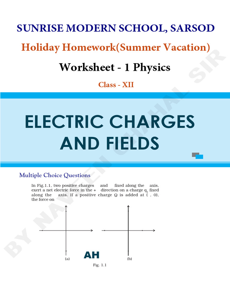 12th Physics Worksheet 1 | PDF | Electric Field | Metrology