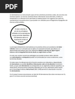 Dermatomas | PDF | Nervio | Pie