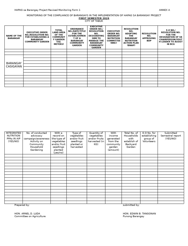 HAPAG Sa Barangay Project Revised Monitoring Form 1ANNEX A | PDF ...