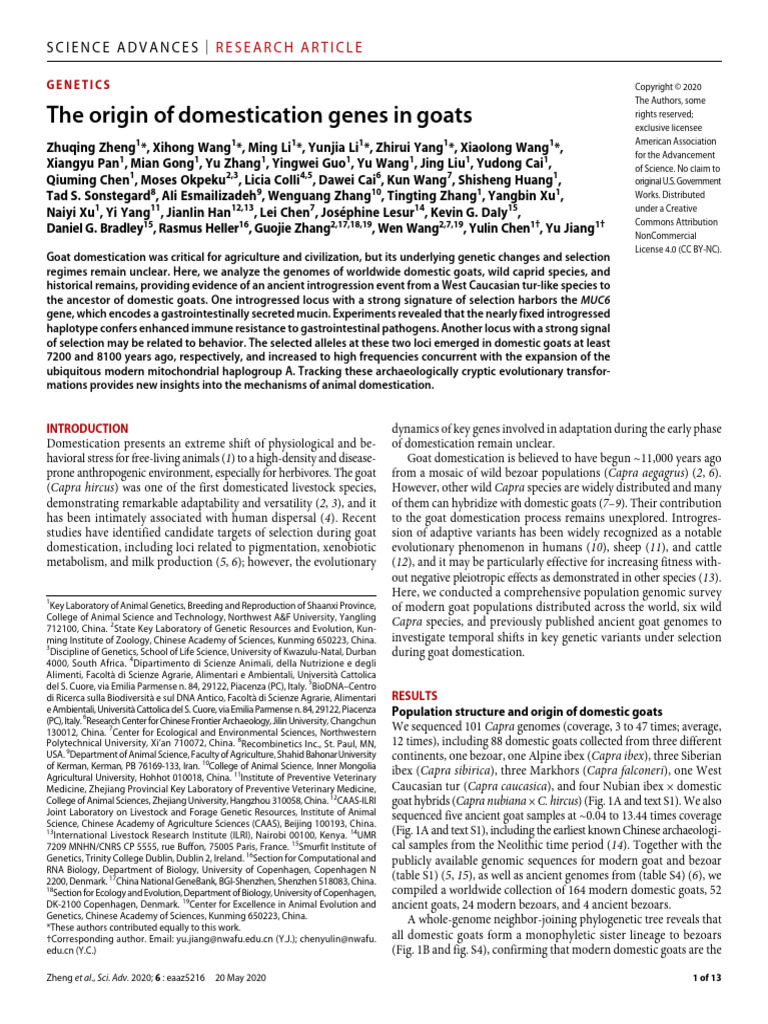 Genetic Insights into Goat Domestication | PDF | Mutation | Domestication
