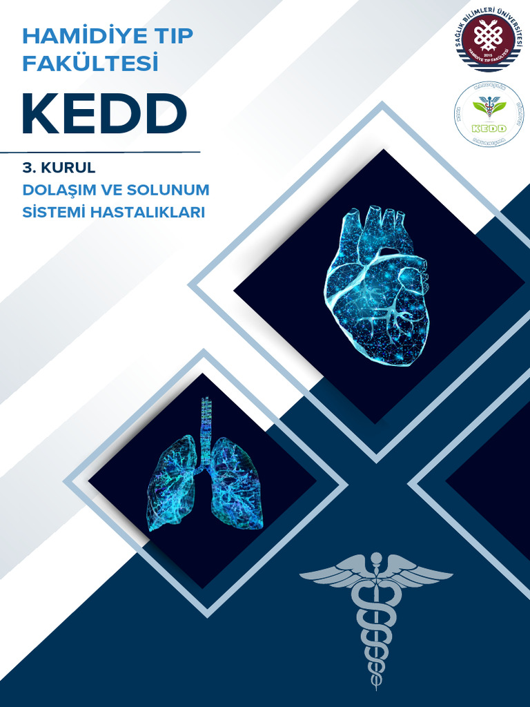 KEDD 3.kurul 4.hafta | PDF
