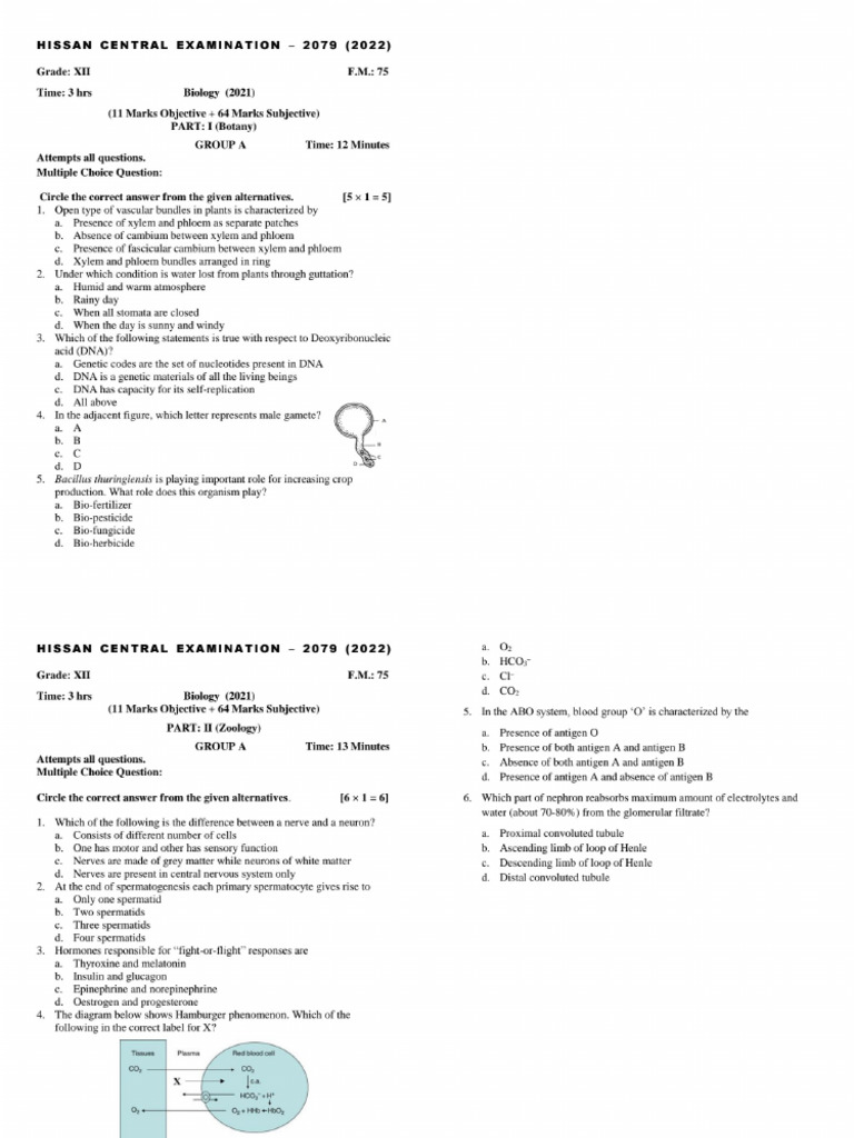 Hissan Preboard Exam Questions | PDF