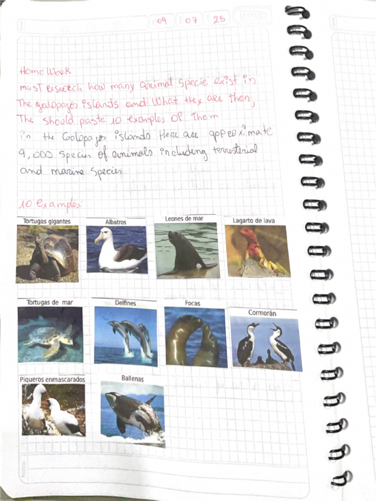 10 Ejemplos de Animales de La Isla Galapagos | PDF