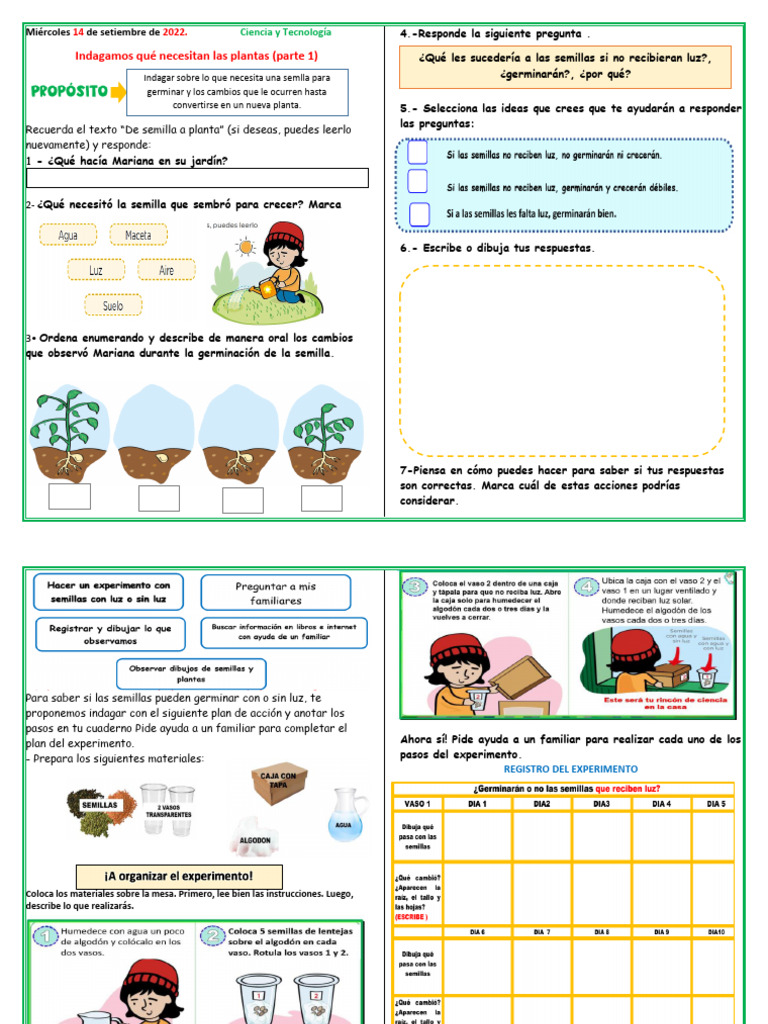 Miércoles 14 - 09 - 2022 - Indagamos Qué Necesitan Las Plantas (Parte 1 ...