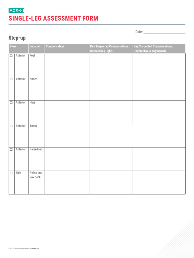 25 Single Leg Assessment Form | PDF