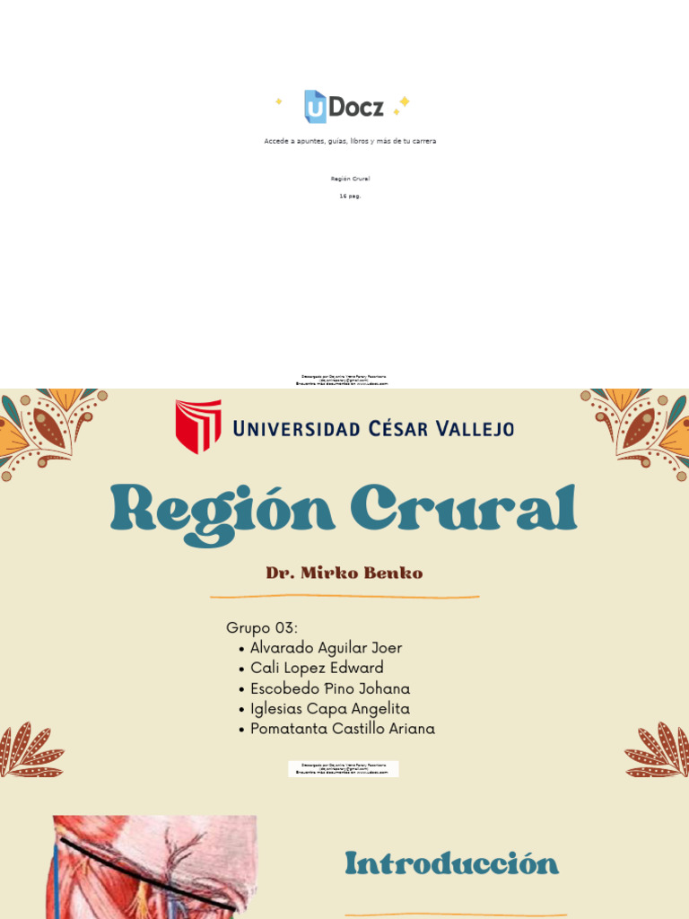 Region Crural 349626 Downloadable 558874 | PDF | Sistema ...