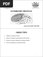 Le Syndrome Frontal | PDF | Cortex préfrontal | Neuroscience