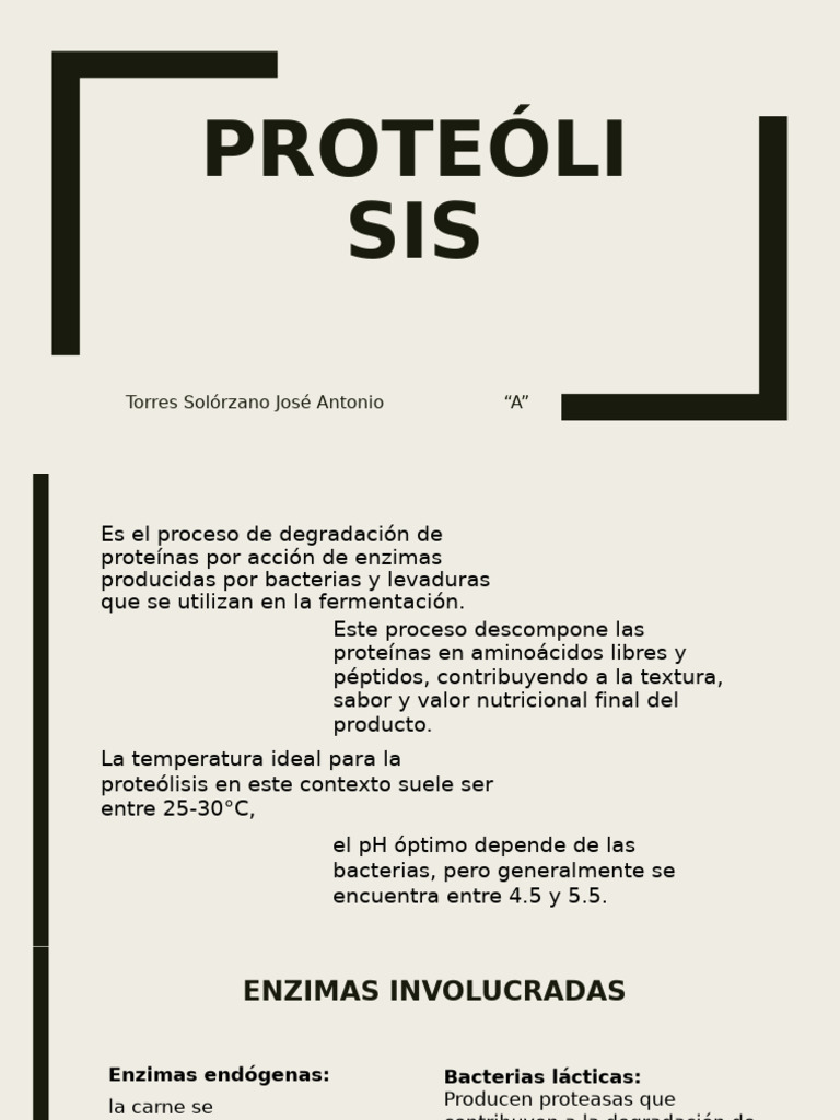 Proceso de Proteólisis en Carnes Fermentadas | PDF | Proteólisis | Enzima