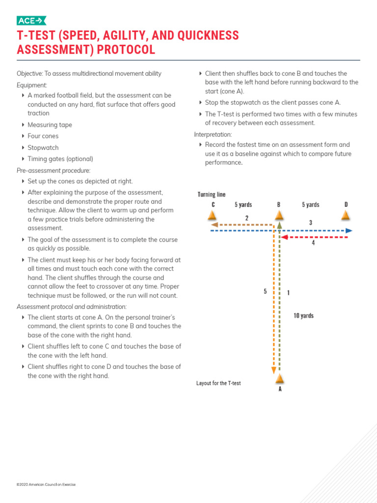 33 T-Test Speed Agility and Quickness Assessment Protocol | PDF