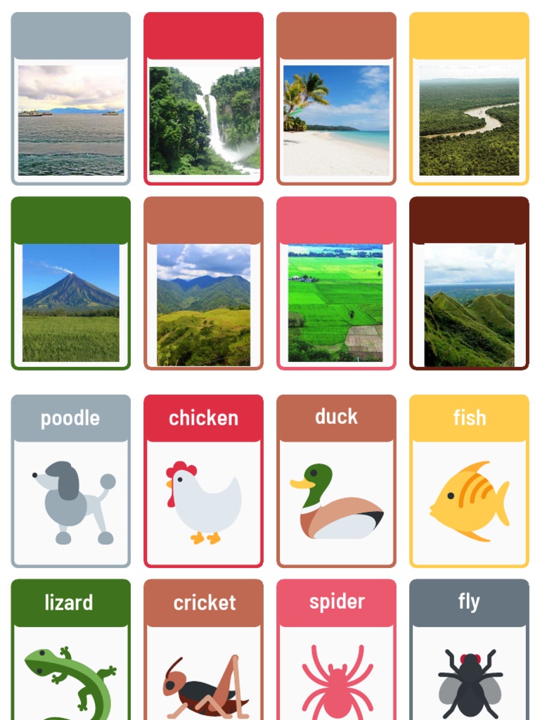 Colorful Fun Animals Flashcards Set - 20250515 - 100406 - 0000 | PDF