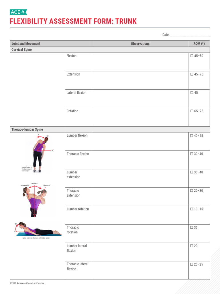 12 Flexibility Assessment Form Trunk | PDF | Vertebral Column | Anatomical Terms Of Motion