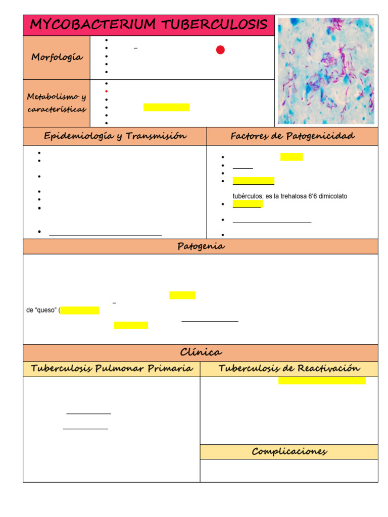 Mycobacterium Tuberculosis | PDF | Mycobacterium | Tuberculosis