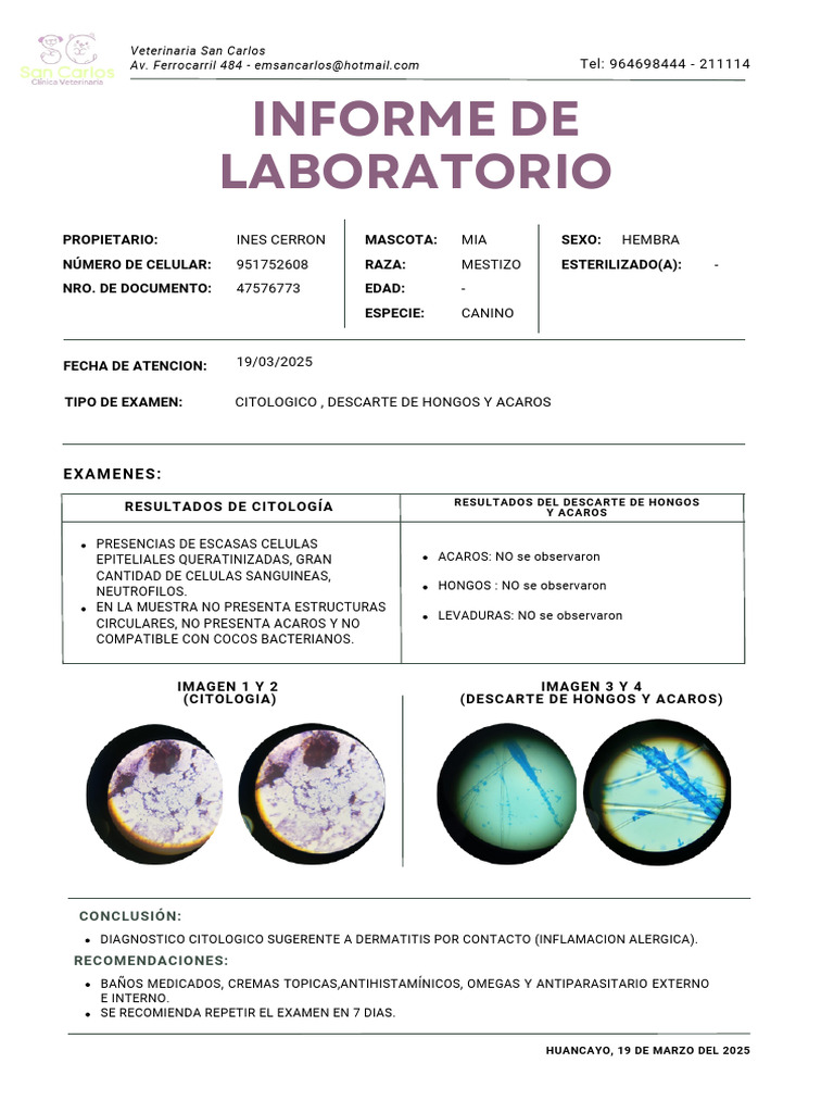Informe Citologico MIA CERRON | PDF