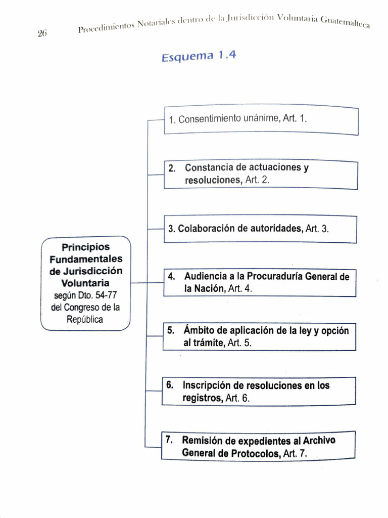 Esquemas Jurisdicción Voluntaria - PDF Versión 1 | PDF