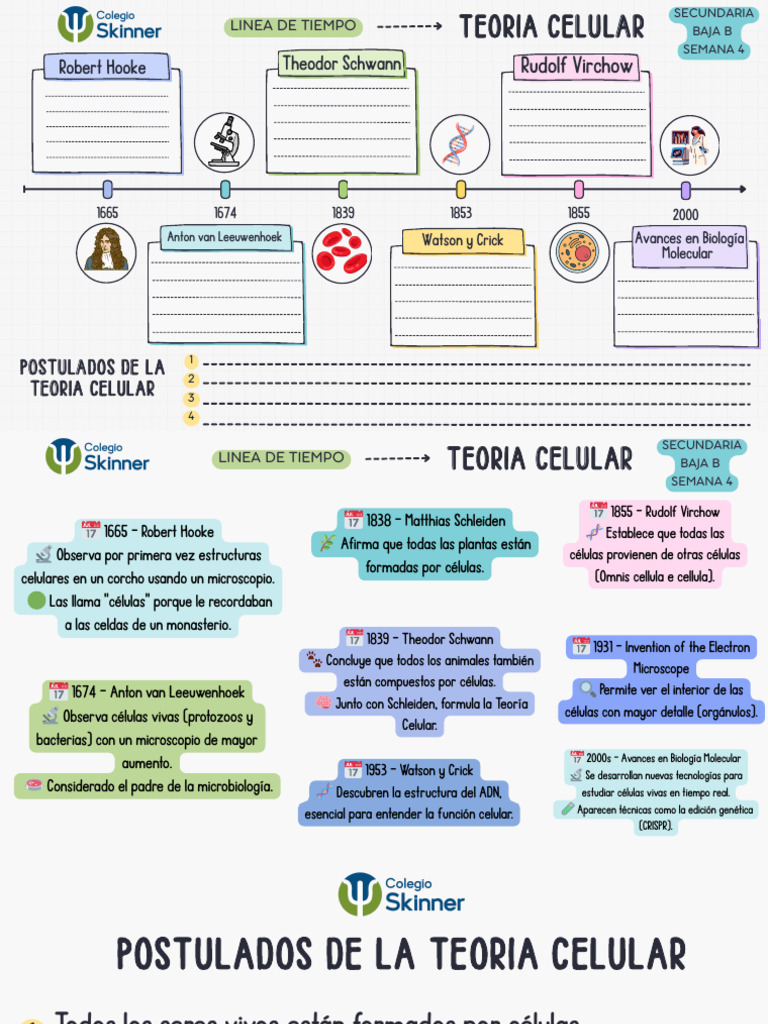 Línea de Tiempo de la Teoría Celular | PDF | Biología Celular ...