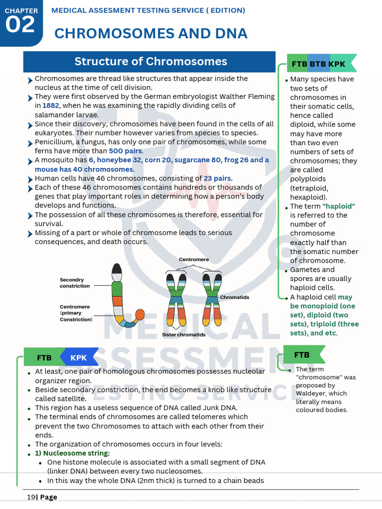 Mats Chromosomes & Dna All Boards Main Points | PDF | Genetic Code | Gene