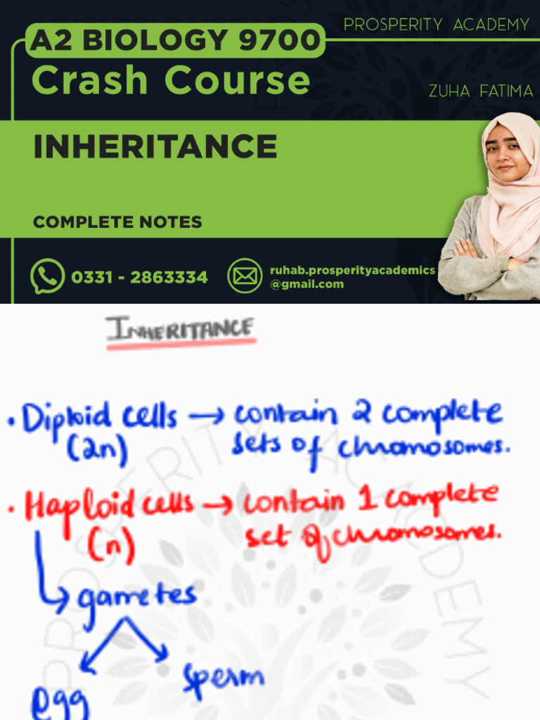 Inheritance | PDF