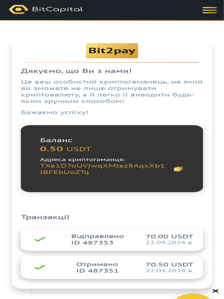Bit Capital | PDF