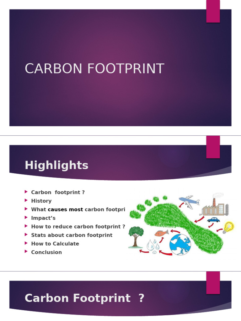 Carbon Footprint | PDF
