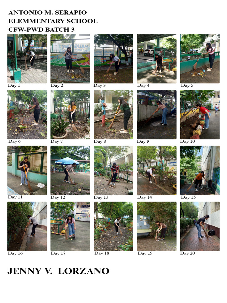 CFW-PWD Batch 3 | PDF