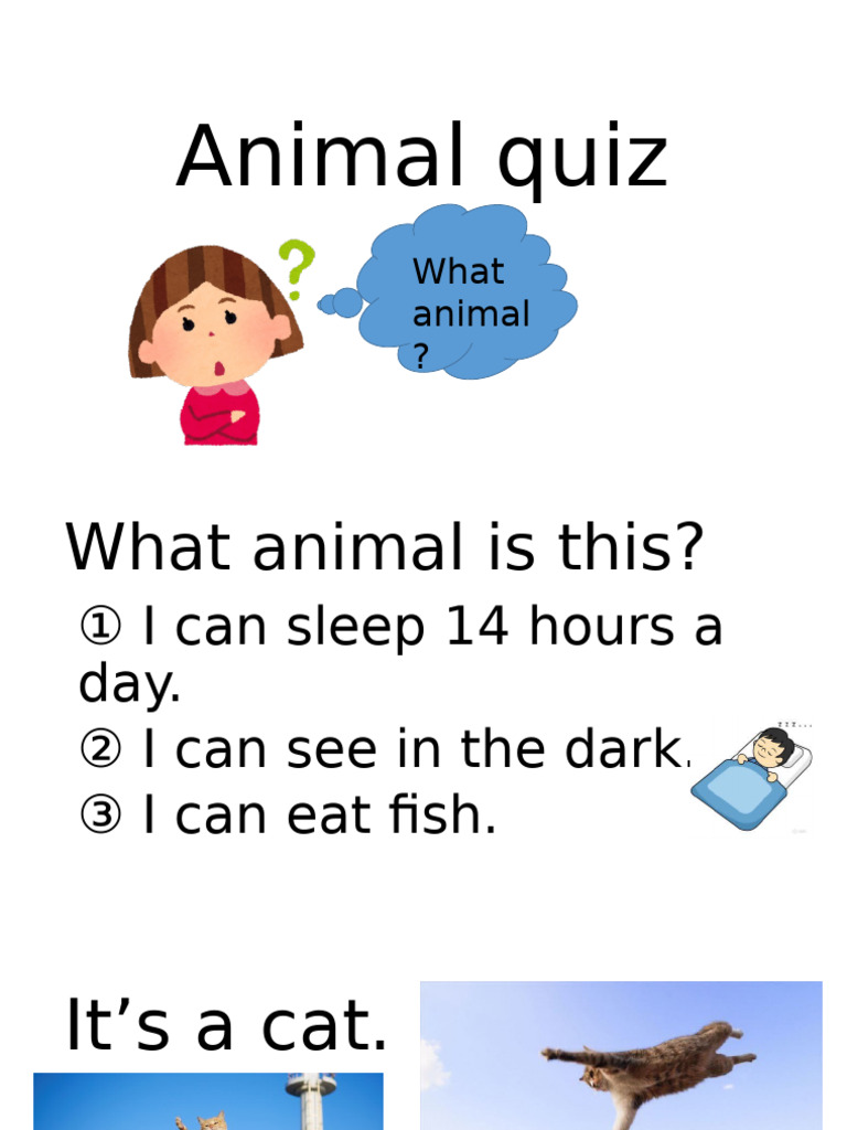 Fun Animal Quiz for Kids | PDF
