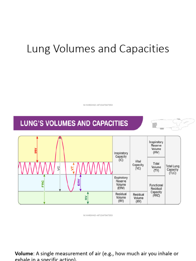 Lung Volumes and Capacities | PDF | Exhalation | Chronic Obstructive Pulmonary Disease