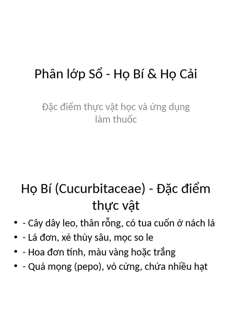 Phan Lop So Ho Bi Ho Cai | PDF