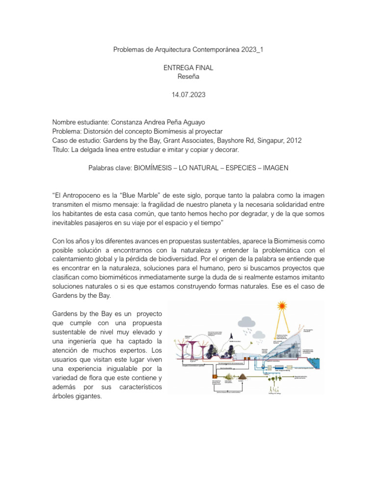 Peña Constanza Final | PDF | Naturaleza | Entorno natural