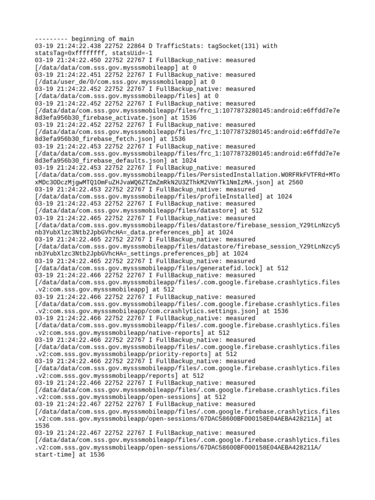 Sss Log 03 19 2025 21 24 22 | PDF | Software | Computer File Formats